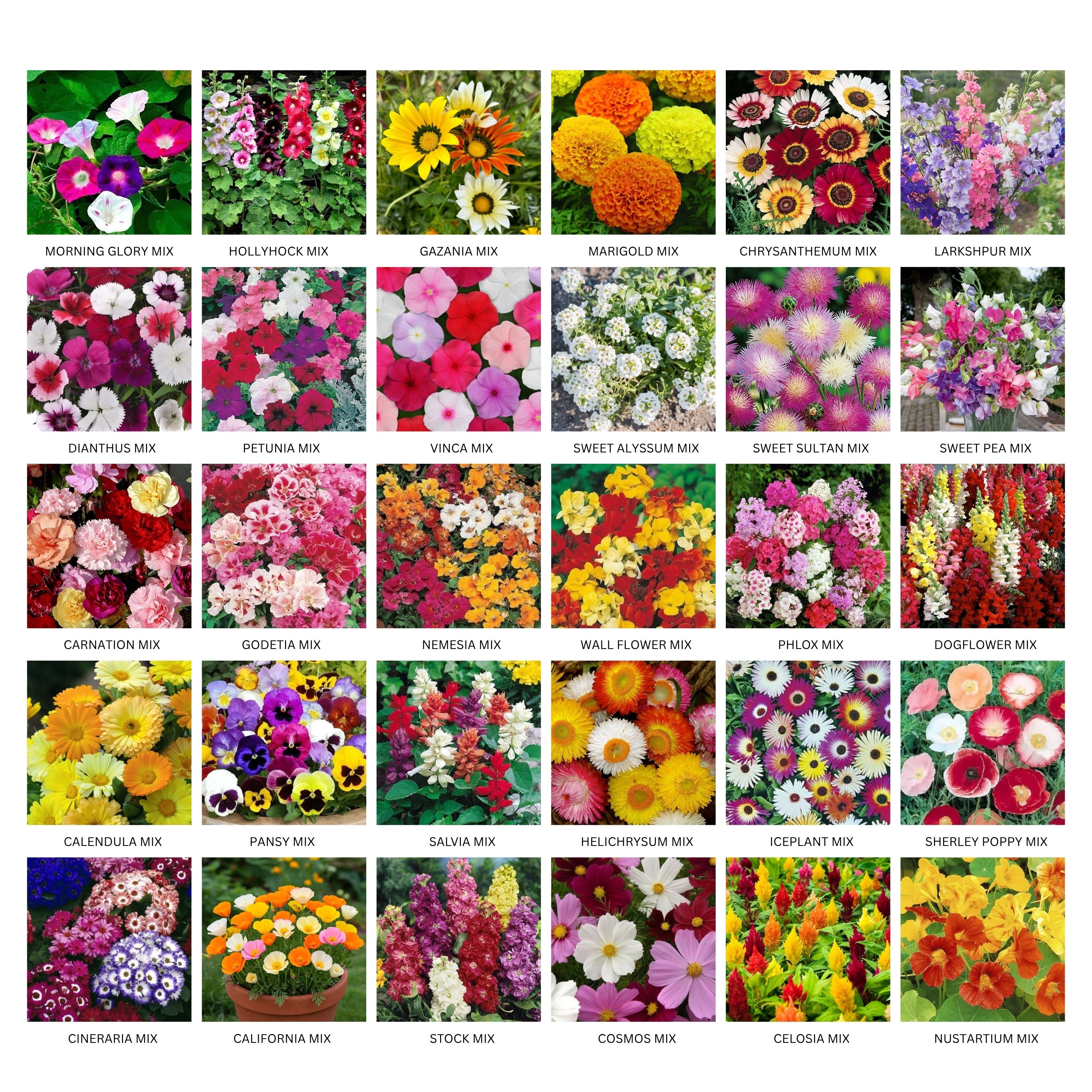 Combo Packs: Seeds & Flower Bulbs | Best Garden Deals